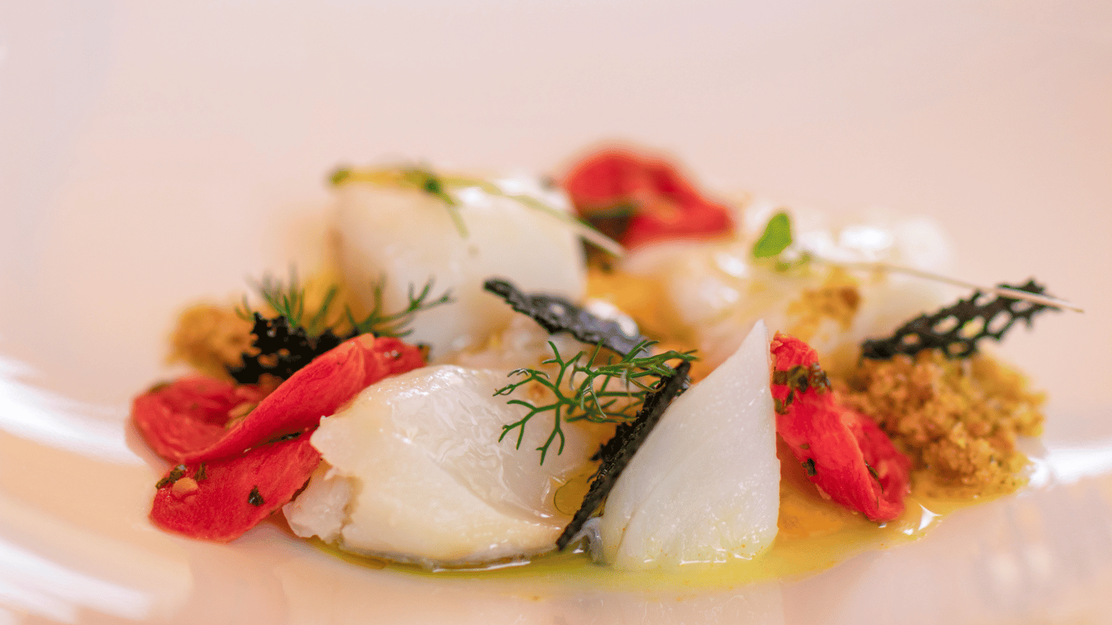 From Sea to Plate - Diving Into Feast of the Seven Fishes